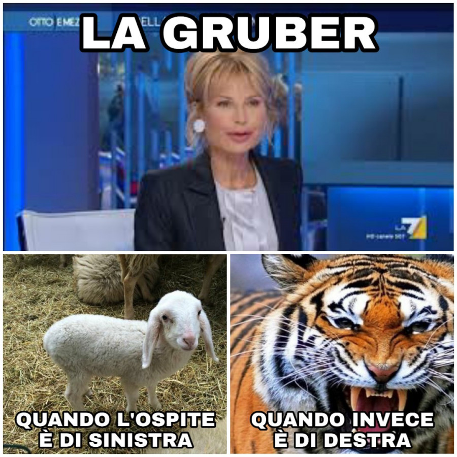 Tutti i meme su Lilli Gruber - Facciabuco.com