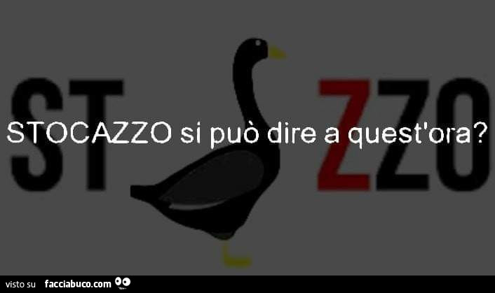 Stocazzo si può dire a quest'ora? - Facciabuco.com