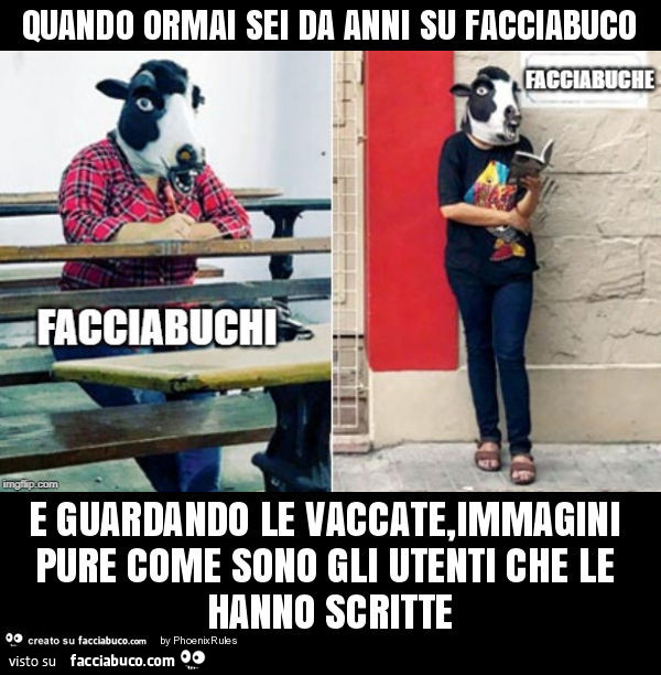 Tutti i meme sulle Mucche - Facciabuco.com