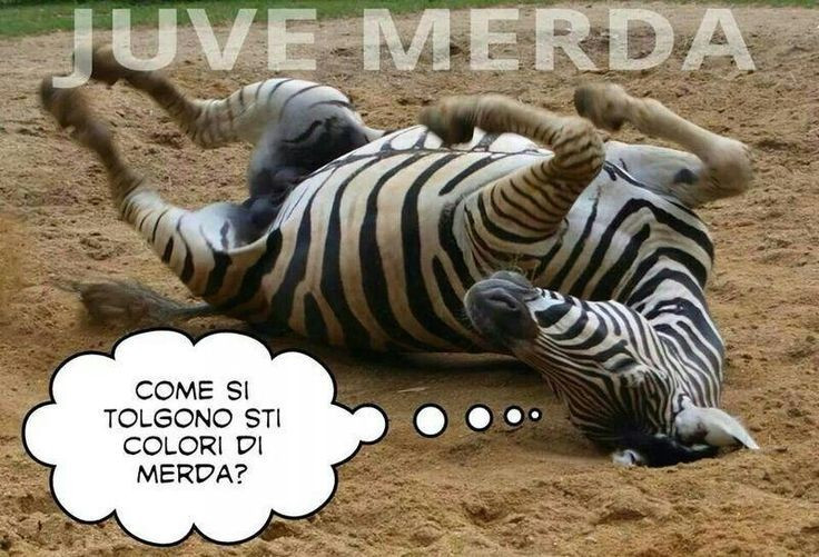 Che jella nascere zebra?????… post satirico pubblicato da Frankoski ...