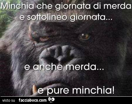 Tutti i meme sulle Giornate di merda - Facciabuco.com